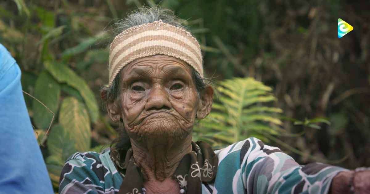 La semilla origen del pueblo Mbya Guaraní