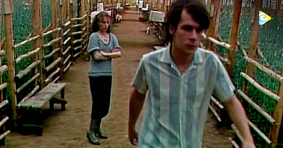 Serie de misterio Los Cuervos - Capítulo 96 | RTVCPlay